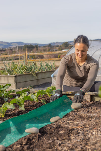 Seed Protector - 35cm wide x 3m long – EverGrow Bags